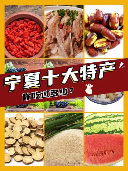 宁夏特产有哪些_宁夏什么值得买-第1张图片-山城妙识 宁夏特产有哪些_宁夏什么值得买-第1张图片-山城妙识