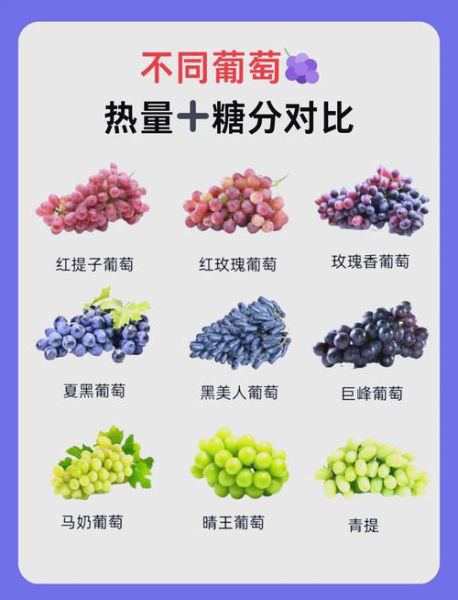 葡萄酒冰糖比例是多少_自制葡萄酒加多少糖-第2张图片-山城妙识