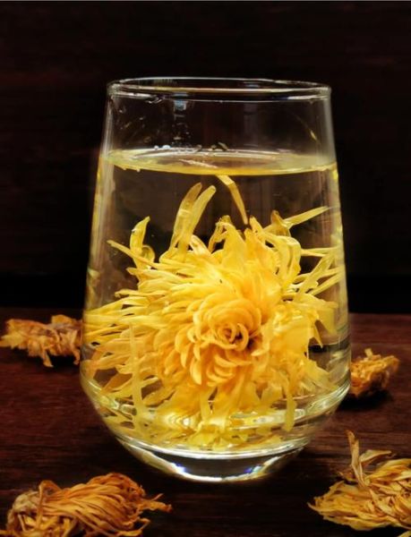 金丝皇菊花茶的功效与作用_金丝皇菊怎么喝最养生-第1张图片-山城妙识 金丝皇菊花茶的功效与作用_金丝皇菊怎么喝最养生-第1张图片-山城妙识