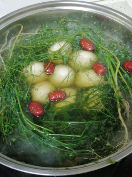 荠菜煮鸡蛋有什么效果_荠菜鸡蛋汤的功效与禁忌-第2张图片-山城妙识