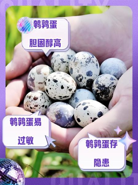 鹌鹑蛋吃多了有什么坏处_每天吃多少鹌鹑蛋合适-第2张图片-山城妙识 鹌鹑蛋吃多了有什么坏处_每天吃多少鹌鹑蛋合适-第2张图片-山城妙识