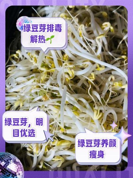 绿豆芽的营养价值与功效_绿豆芽的禁忌人群有哪些-第1张图片-山城妙识 绿豆芽的营养价值与功效_绿豆芽的禁忌人群有哪些-第1张图片-山城妙识