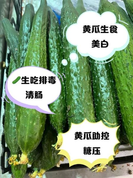 生吃黄瓜有什么好处_生吃黄瓜能减肥吗-第3张图片-山城妙识