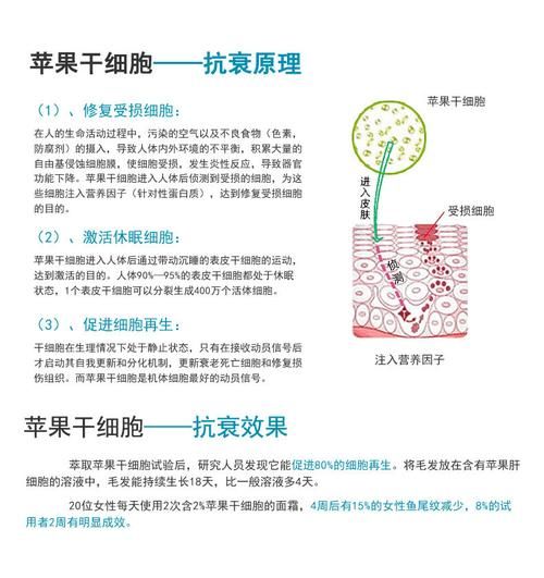 苹果干细胞护肤品功效_苹果干细胞能抗衰老吗-第1张图片-山城妙识 苹果干细胞护肤品功效_苹果干细胞能抗衰老吗-第1张图片-山城妙识