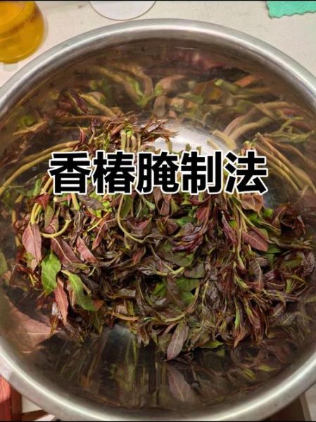 香椿怎么腌制_香椿腌制方法-第1张图片-山城妙识 香椿怎么腌制_香椿腌制方法-第1张图片-山城妙识