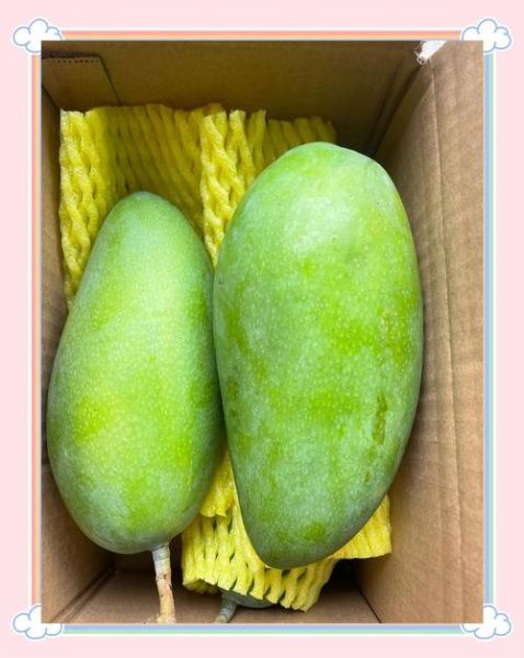 大青芒果怎么吃_大青芒果可以直接吃吗-第3张图片-山城妙识 大青芒果怎么吃_大青芒果可以直接吃吗-第3张图片-山城妙识