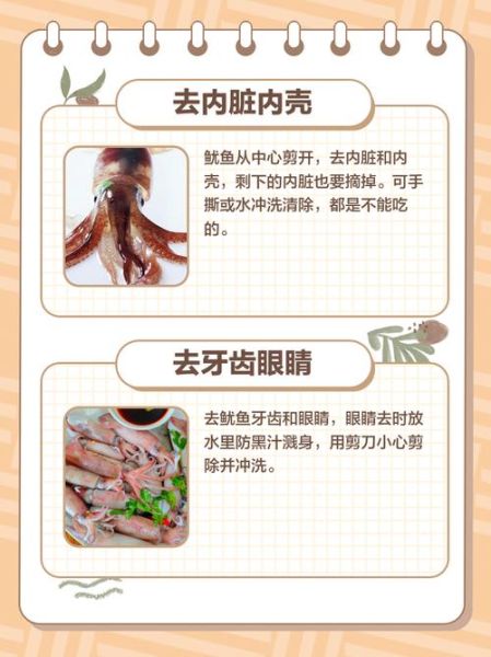 鲜鱿鱼怎么处理_如何去除腥味-第1张图片-山城妙识 鲜鱿鱼怎么处理_如何去除腥味-第1张图片-山城妙识
