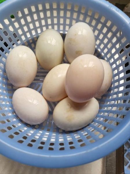 咸鸭蛋怎么做_咸鸭蛋腌制多久出油-第3张图片-山城妙识 咸鸭蛋怎么做_咸鸭蛋腌制多久出油-第3张图片-山城妙识