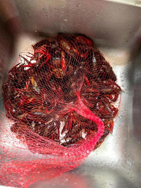 煮龙虾需要多长时间_煮龙虾用冷水还是热水-第2张图片-山城妙识 煮龙虾需要多长时间_煮龙虾用冷水还是热水-第2张图片-山城妙识