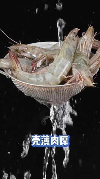 海捕大虾多少钱一斤_2024最新行情-第1张图片-山城妙识 海捕大虾多少钱一斤_2024最新行情-第1张图片-山城妙识