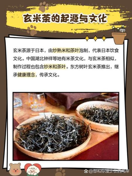 玄米茶是什么茶_玄米茶和绿茶区别-第1张图片-山城妙识