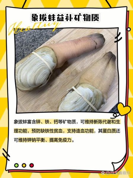 象拔蚌的营养价值_象拔蚌的功效与作用-第2张图片-山城妙识 象拔蚌的营养价值_象拔蚌的功效与作用-第2张图片-山城妙识