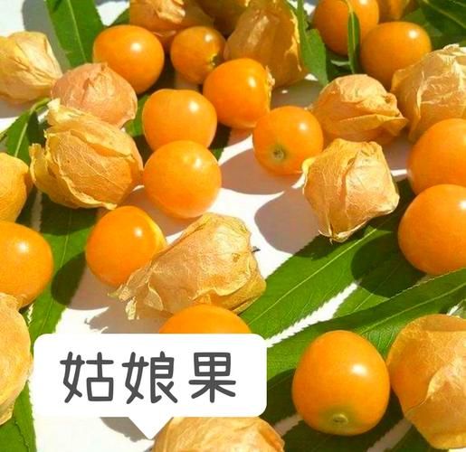 灯笼果和姑娘果的区别_哪个更好吃-第1张图片-山城妙识
