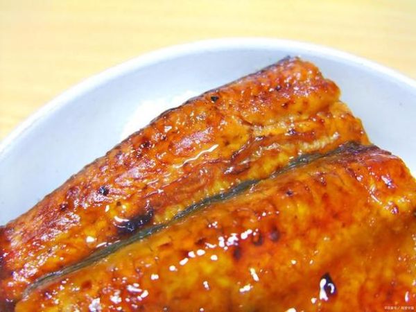 鳗鲡鱼怎么做好吃_鳗鲡鱼价格多少钱一斤-第3张图片-山城妙识 鳗鲡鱼怎么做好吃_鳗鲡鱼价格多少钱一斤-第3张图片-山城妙识