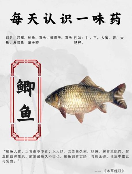 鲫鱼哪些人不能吃_痛风患者能吃鲫鱼吗-第1张图片-山城妙识