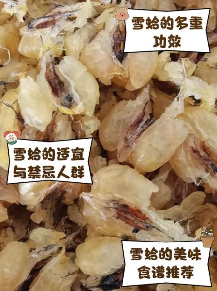 雪蛤图片长什么样_雪蛤的功效与作用有哪些-第1张图片-山城妙识