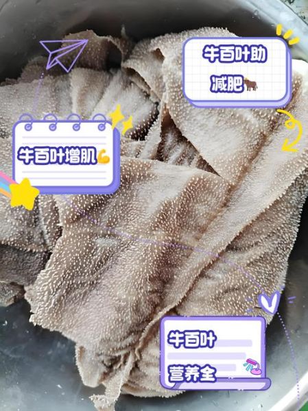 牛百叶的营养价值及功效_牛百叶吃了有什么好处-第2张图片-山城妙识 牛百叶的营养价值及功效_牛百叶吃了有什么好处-第2张图片-山城妙识