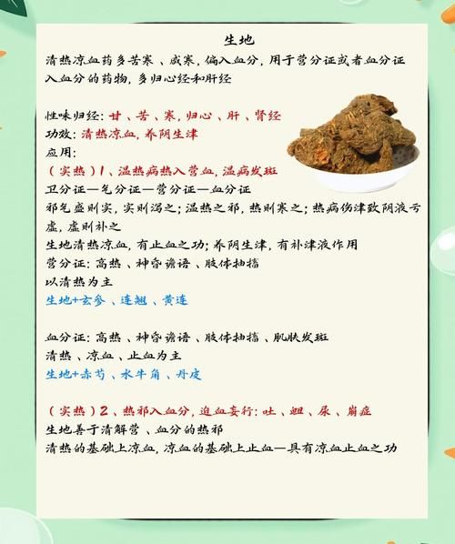 生地的功效与作用_生地能长期泡水喝吗-第3张图片-山城妙识