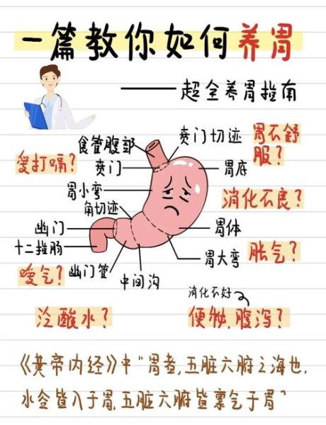 秋季养胃吃什么好_秋季养胃方法有哪些-第2张图片-山城妙识 秋季养胃吃什么好_秋季养胃方法有哪些-第2张图片-山城妙识