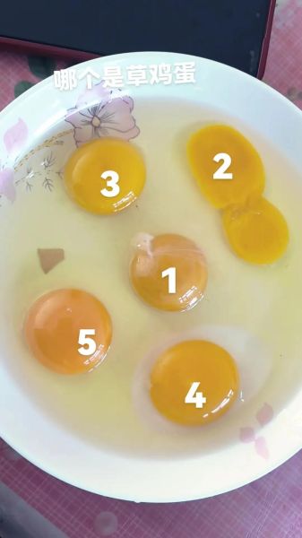 草鸡蛋图片怎么分辨真假_草鸡蛋图片高清细节图-第2张图片-山城妙识 草鸡蛋图片怎么分辨真假_草鸡蛋图片高清细节图-第2张图片-山城妙识