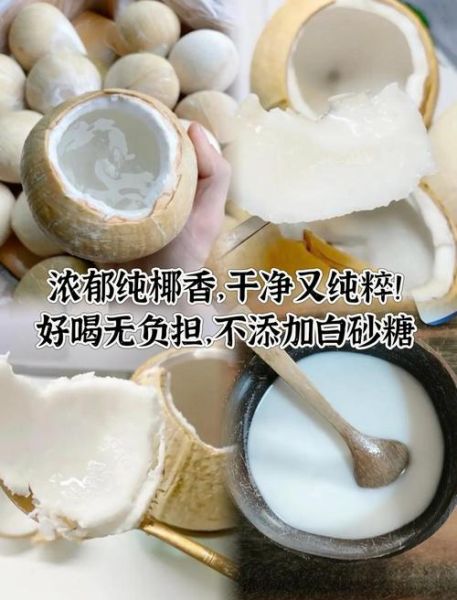 椰子粉的正确吃法_椰子粉怎么吃最好-第3张图片-山城妙识 椰子粉的正确吃法_椰子粉怎么吃最好-第3张图片-山城妙识