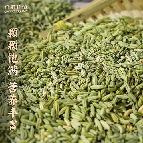 茴香和小茴香的区别_小茴香是茴香籽吗-第2张图片-山城妙识 茴香和小茴香的区别_小茴香是茴香籽吗-第2张图片-山城妙识