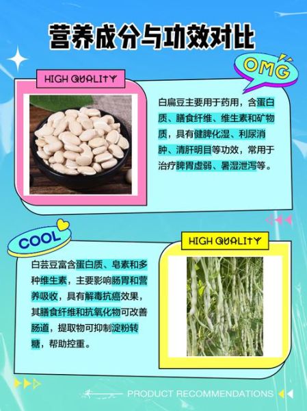 小扁豆和白扁豆的区别_哪个更适合日常食用-第2张图片-山城妙识 小扁豆和白扁豆的区别_哪个更适合日常食用-第2张图片-山城妙识