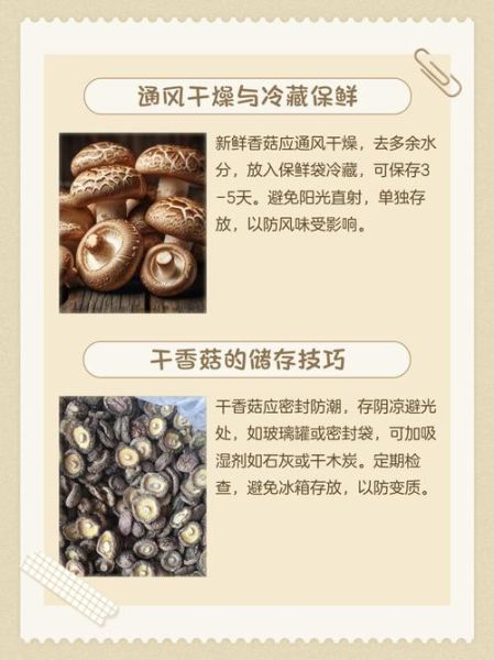 鲜香菇怎么保存_鲜香菇可以放冰箱多久-第1张图片-山城妙识 鲜香菇怎么保存_鲜香菇可以放冰箱多久-第1张图片-山城妙识
