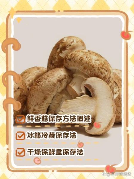 鲜香菇怎么保存_鲜香菇可以放冰箱多久-第2张图片-山城妙识 鲜香菇怎么保存_鲜香菇可以放冰箱多久-第2张图片-山城妙识
