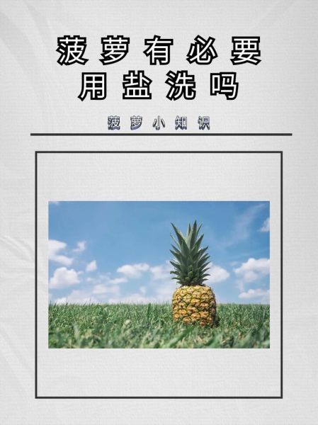 菠萝直接吃有什么危害_菠萝不泡盐水会怎样-第1张图片-山城妙识 菠萝直接吃有什么危害_菠萝不泡盐水会怎样-第1张图片-山城妙识