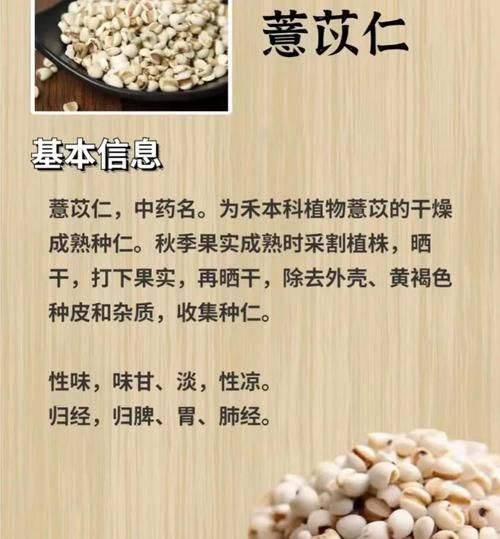 薏米可以天天吃吗_薏米禁忌人群有哪些-第2张图片-山城妙识