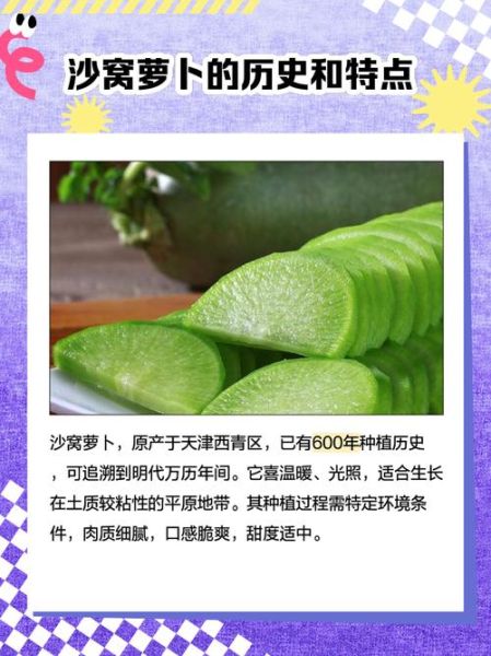 天津沙窝萝卜多少钱一斤_沙窝萝卜价格走势-第2张图片-山城妙识 天津沙窝萝卜多少钱一斤_沙窝萝卜价格走势-第2张图片-山城妙识