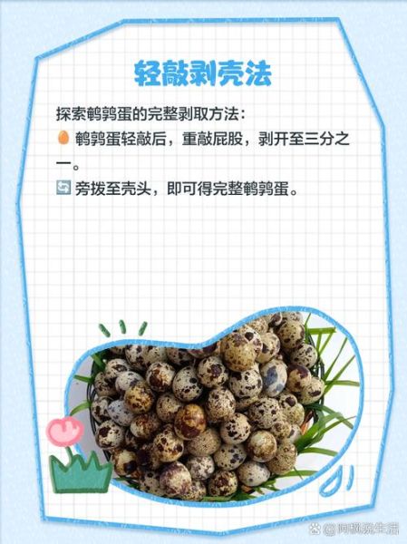 鹌鹑蛋怎么煮好剥皮_鹌鹑蛋煮多久好剥皮-第1张图片-山城妙识 鹌鹑蛋怎么煮好剥皮_鹌鹑蛋煮多久好剥皮-第1张图片-山城妙识