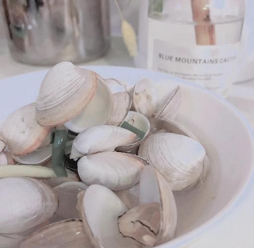 白蛤怎么清洗_白蛤汤的做法步骤-第2张图片-山城妙识 白蛤怎么清洗_白蛤汤的做法步骤-第2张图片-山城妙识