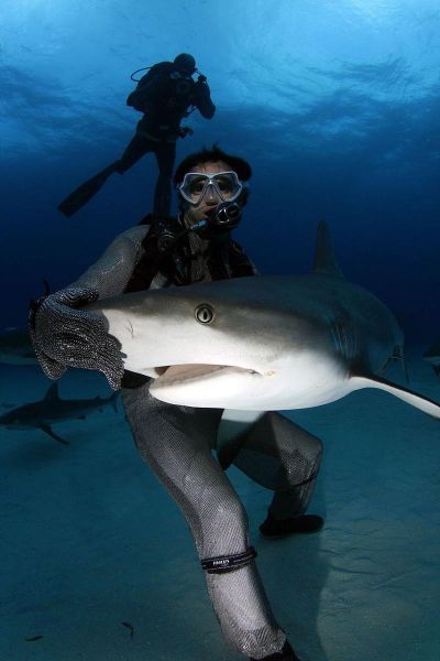 鲨鱼图片高清_鲨鱼图片怎么拍-第1张图片-山城妙识 鲨鱼图片高清_鲨鱼图片怎么拍-第1张图片-山城妙识