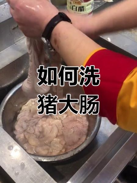 猪大肠怎么洗干净_猪大肠清洗去异味方法-第3张图片-山城妙识