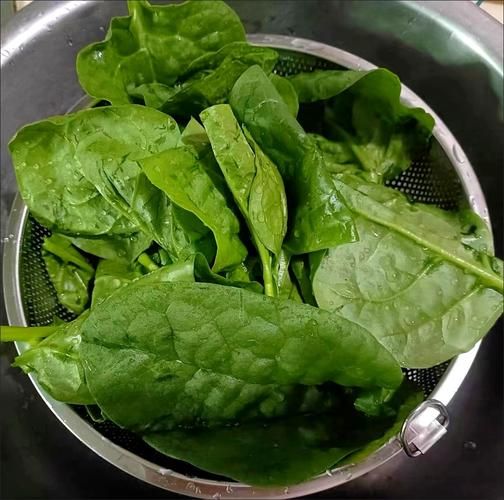 木耳菜鸡蛋汤怎么做_木耳菜鸡蛋汤的功效-第2张图片-山城妙识 木耳菜鸡蛋汤怎么做_木耳菜鸡蛋汤的功效-第2张图片-山城妙识