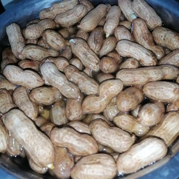 煮花生豆怎么煮才入味_煮花生豆需要多久-第3张图片-山城妙识 煮花生豆怎么煮才入味_煮花生豆需要多久-第3张图片-山城妙识