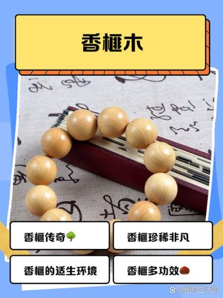 香榧木为什么禁止交易_香榧木交易禁令原因-第1张图片-山城妙识 香榧木为什么禁止交易_香榧木交易禁令原因-第1张图片-山城妙识