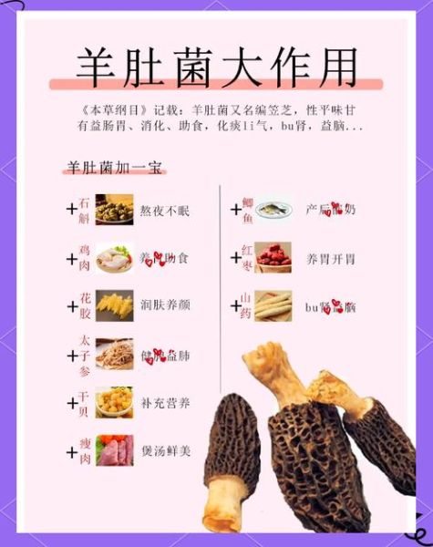 羊肚菌不能和什么一起吃_羊肚菌食用禁忌有哪些-第1张图片-山城妙识 羊肚菌不能和什么一起吃_羊肚菌食用禁忌有哪些-第1张图片-山城妙识