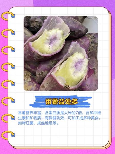 番薯杯是什么意思_番薯杯网络用语解析-第2张图片-山城妙识 番薯杯是什么意思_番薯杯网络用语解析-第2张图片-山城妙识