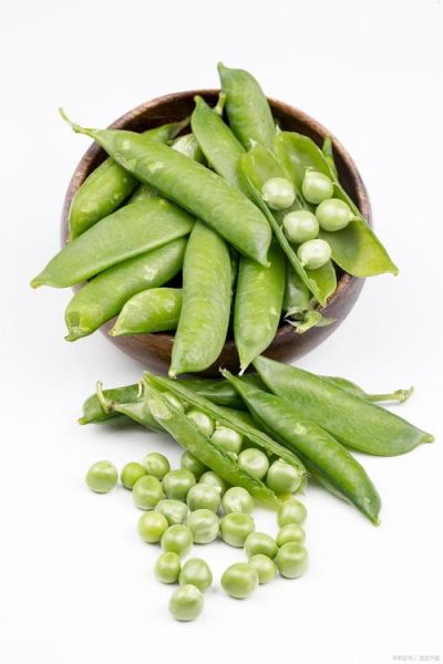 荷兰豆和扁豆的区别_哪个营养价值更高-第2张图片-山城妙识 荷兰豆和扁豆的区别_哪个营养价值更高-第2张图片-山城妙识