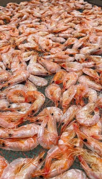 大对虾干怎么做好吃_大对虾干的家常做法-第1张图片-山城妙识 大对虾干怎么做好吃_大对虾干的家常做法-第1张图片-山城妙识