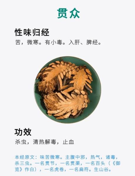 贯众的功效与作用_贯众能治疗哪些疾病-第1张图片-山城妙识 贯众的功效与作用_贯众能治疗哪些疾病-第1张图片-山城妙识