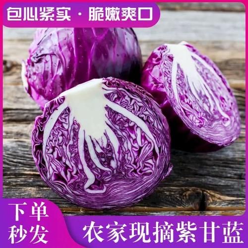 紫甘蓝图片大全大图_紫甘蓝怎么挑选最新鲜-第2张图片-山城妙识 紫甘蓝图片大全大图_紫甘蓝怎么挑选最新鲜-第2张图片-山城妙识