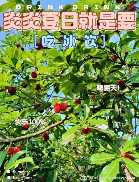 杨梅汁怎么做好喝_杨梅汁的做法窍门-第2张图片-山城妙识 杨梅汁怎么做好喝_杨梅汁的做法窍门-第2张图片-山城妙识