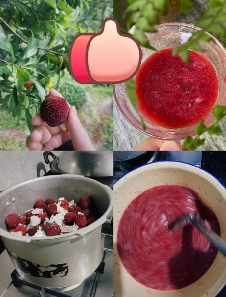 杨梅汁怎么做好喝_杨梅汁的做法窍门-第1张图片-山城妙识 杨梅汁怎么做好喝_杨梅汁的做法窍门-第1张图片-山城妙识