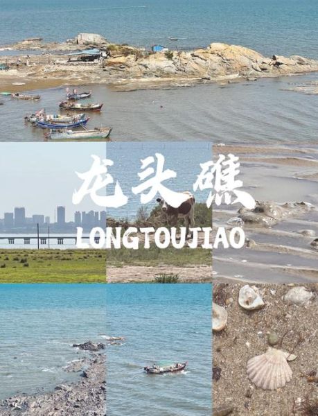 鲅鱼圈赶海最佳时间_鲅鱼圈赶海地点推荐-第2张图片-山城妙识 鲅鱼圈赶海最佳时间_鲅鱼圈赶海地点推荐-第2张图片-山城妙识