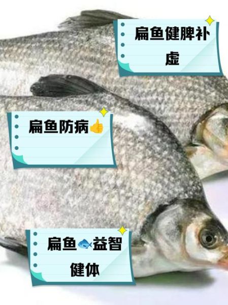 扁鱼是什么鱼_扁鱼的营养价值与做法-第1张图片-山城妙识 扁鱼是什么鱼_扁鱼的营养价值与做法-第1张图片-山城妙识