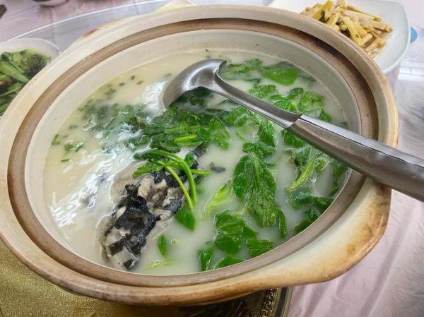 清炖鱼怎么做才好吃_清炖鱼去腥技巧-第3张图片-山城妙识 清炖鱼怎么做才好吃_清炖鱼去腥技巧-第3张图片-山城妙识